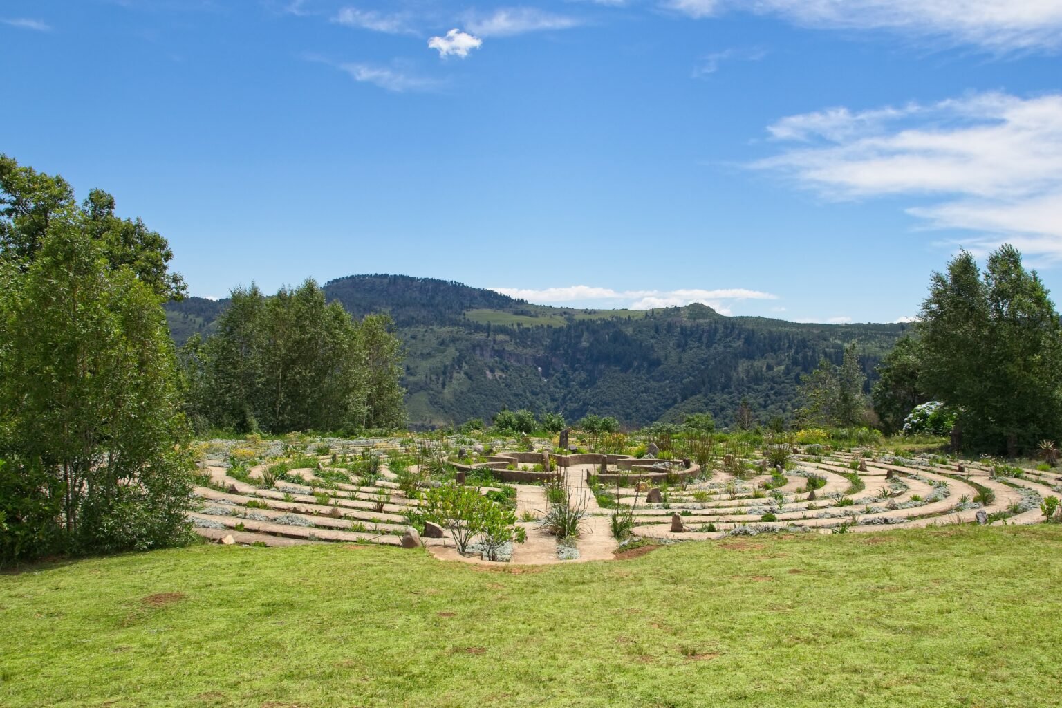 Georgia Landscaping Laws: License & Certification Made Easy
